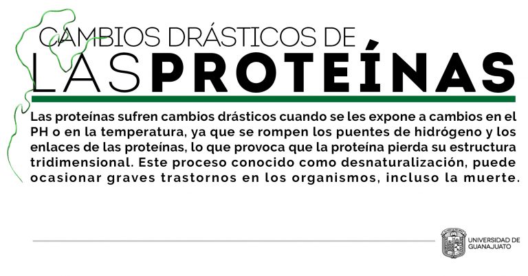 Cambios de las proteínas – Repositorio de Objetos de Aprendizaje UG